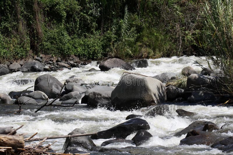 River Flowing through a Valley in Ecuador Stock Image - Image of ...