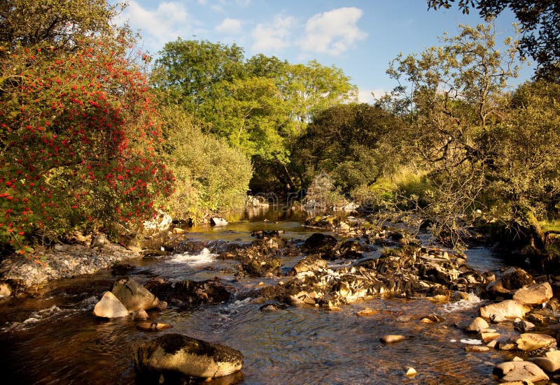 River Flowing in Welsh Valley Stock Image - Image of lush, boulders ...