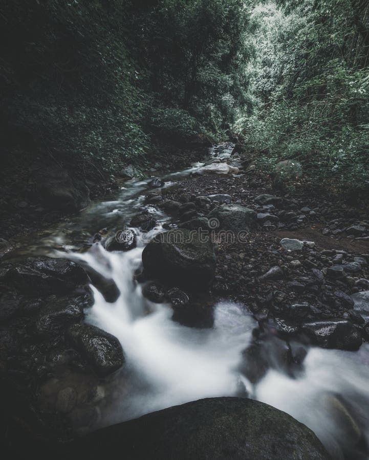 A River Flowing Which Water Came from a Water Spring Stock Photo ...