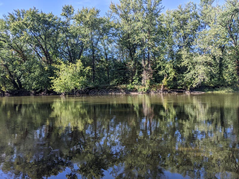 A River Flowing through the Woods Stock Photo - Image of summer, water ...