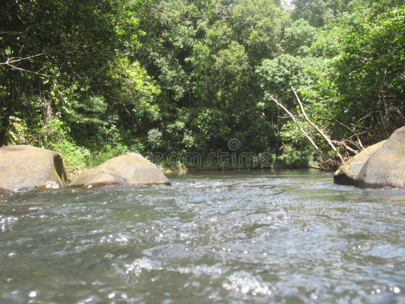 River Flows between Rocks in Rainforest Stock Photo - Image of nice ...