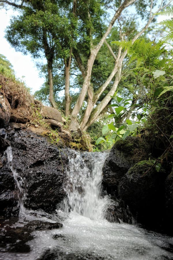 The River Flows from a Clear Spring Stock Photo - Image of reflection ...
