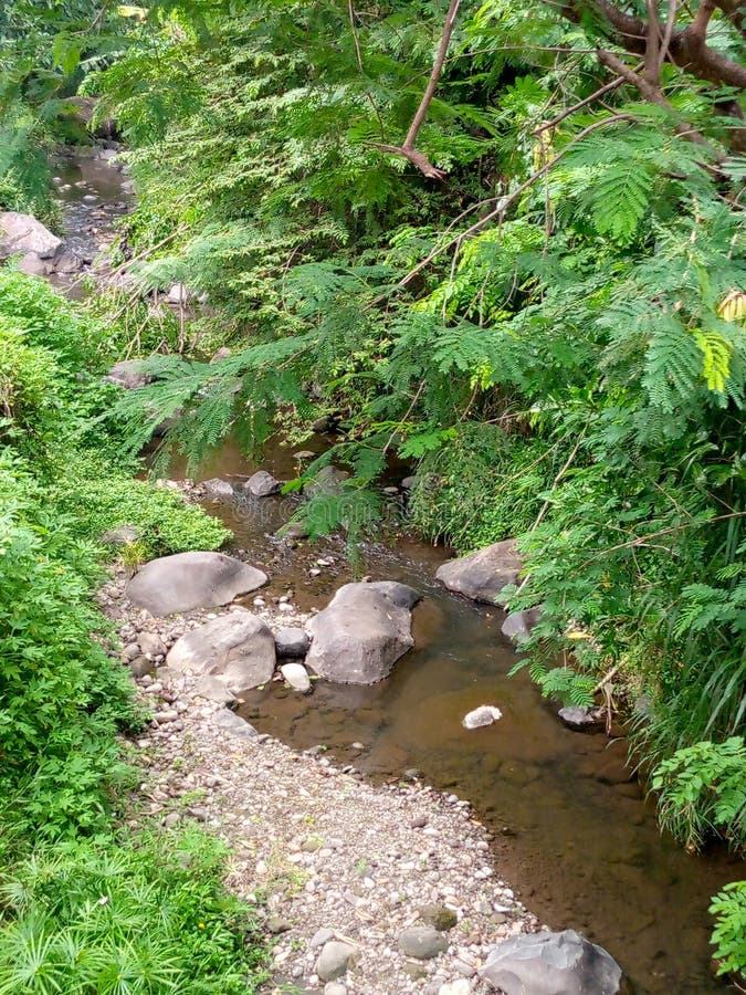 The River Flows Clear Water Springs Stock Image - Image of clear ...