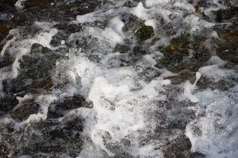 River flows close up stock photo. Image of moss, scene - 181051704