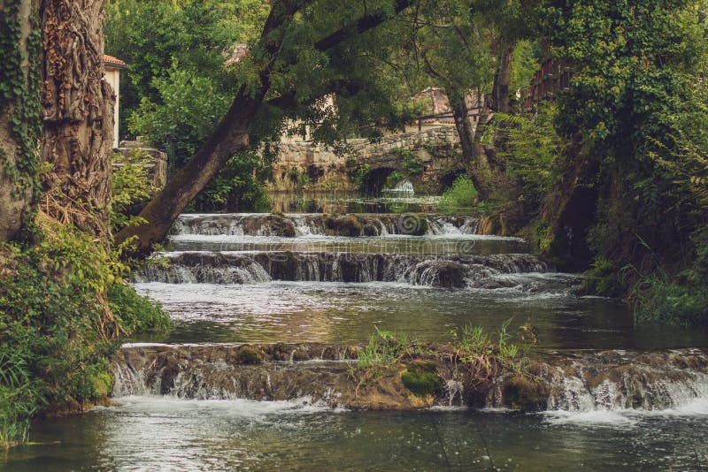 River Flows Down the Slope between Trees and Grasses Stock Image ...