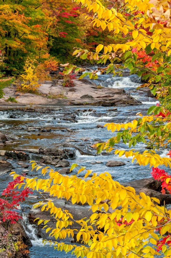 Canada in fall stock image. Image of maple, close, fall - 102337743