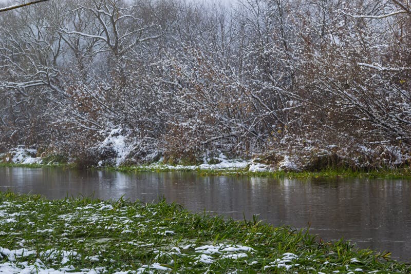 The River Flows through the Forest. in Late Fall in the Forest the ...