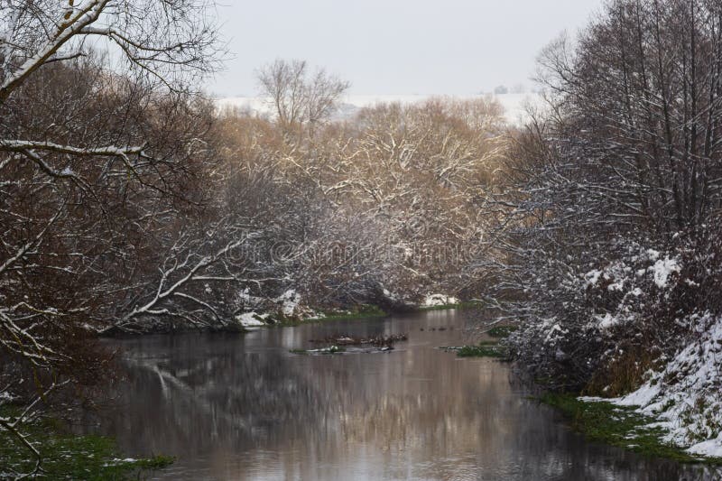The River Flows through the Forest. in Late Fall in the Forest the ...