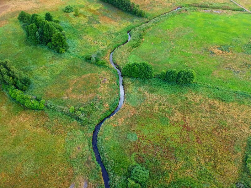 River Flows through the Green Meadow with Trees, Aerial View Stock ...