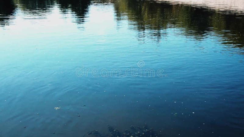 River Flows in the Rainforest with a Soothing Sound Stock Footage ...