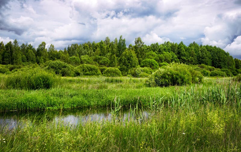 The River Flows through the Meadows in Belarus Stock Image - Image of ...