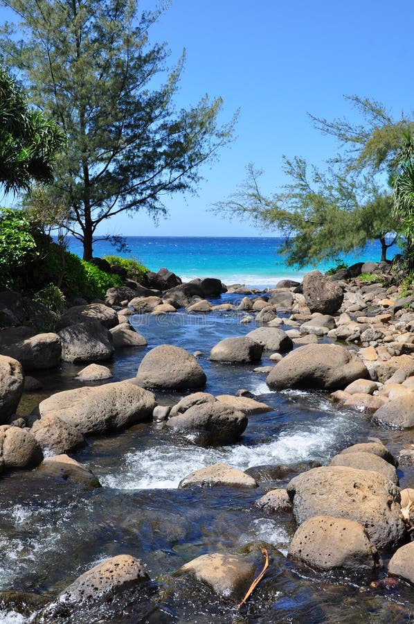 River Flows into the Ocean at Hanakapi Ai Beach Stock Photo - Image of ...