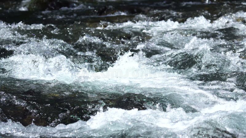 A river flows over rocks stock footage. Video of park - 89103258