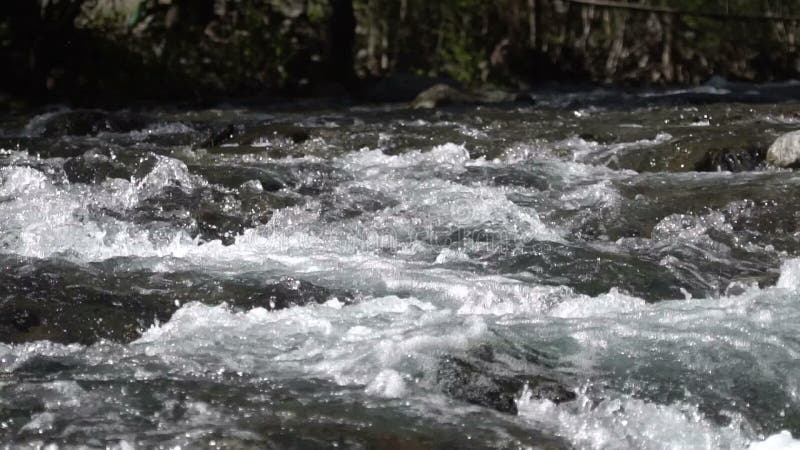 A river flows over rocks stock footage. Video of park - 89103258