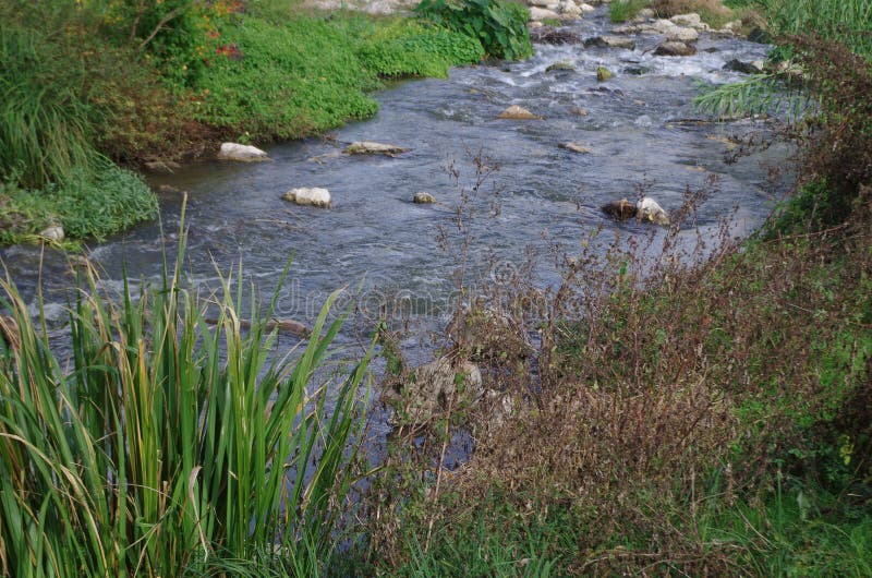 Small section of river stock image. Image of water, watercourse - 350577013