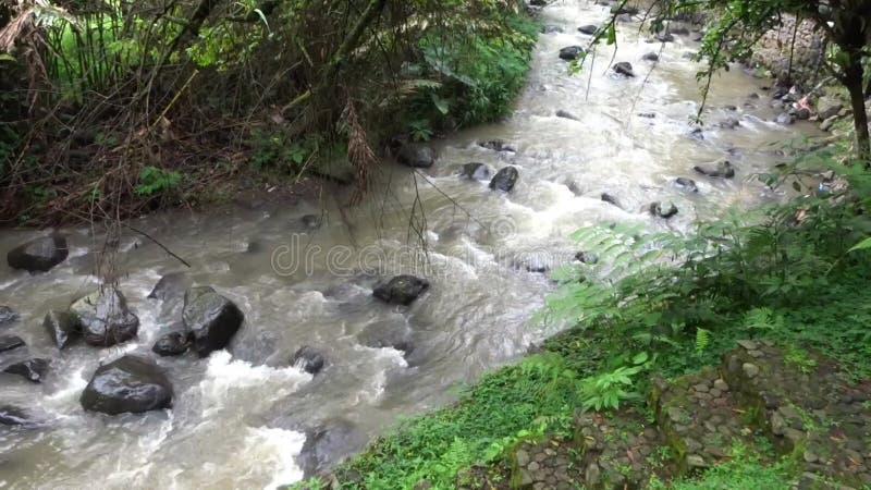 River Flows in the Rainforest with a Soothing Sound Stock Footage ...