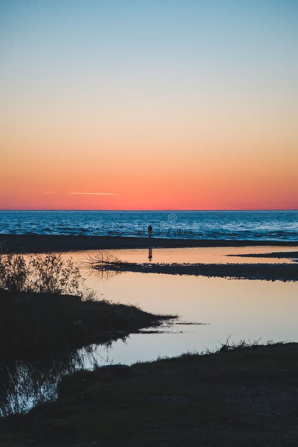 The river flows into stock image. Image of seascape - 236773873