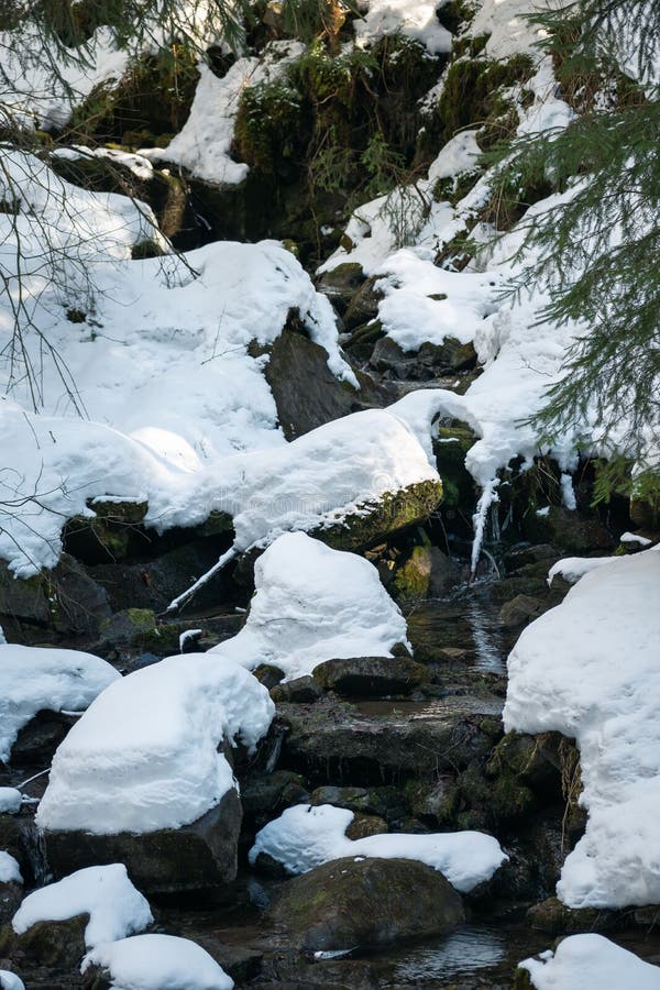 The River Flows among the Snowy Winter Forest Stock Photo - Image of ...