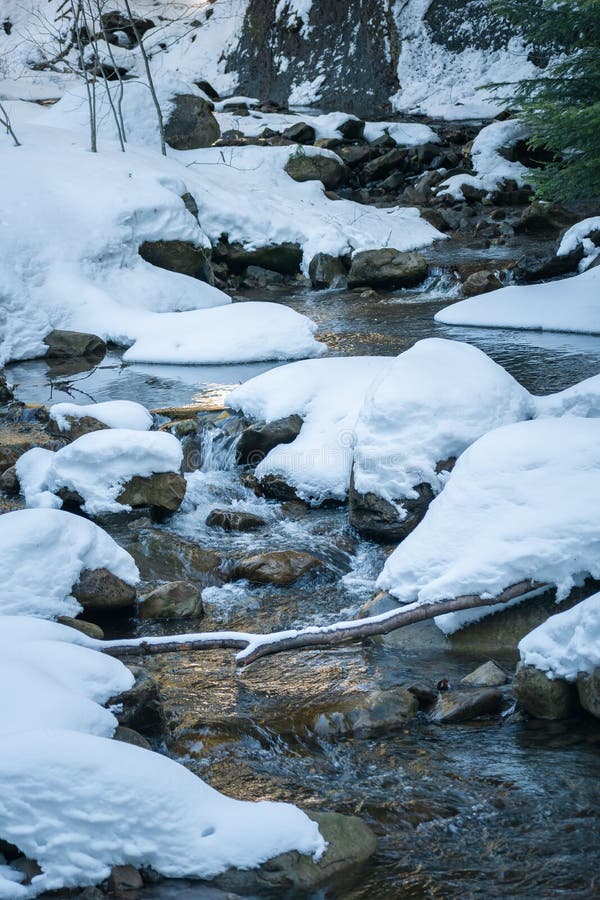 The River Flows among the Snowy Winter Forest Stock Image - Image of ...