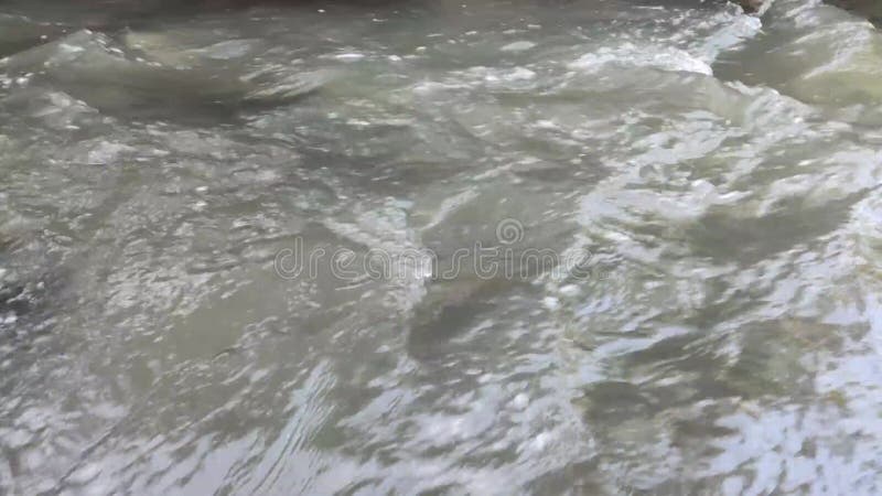 The River Flows and There are Rocks Along the River Stock Video - Video ...