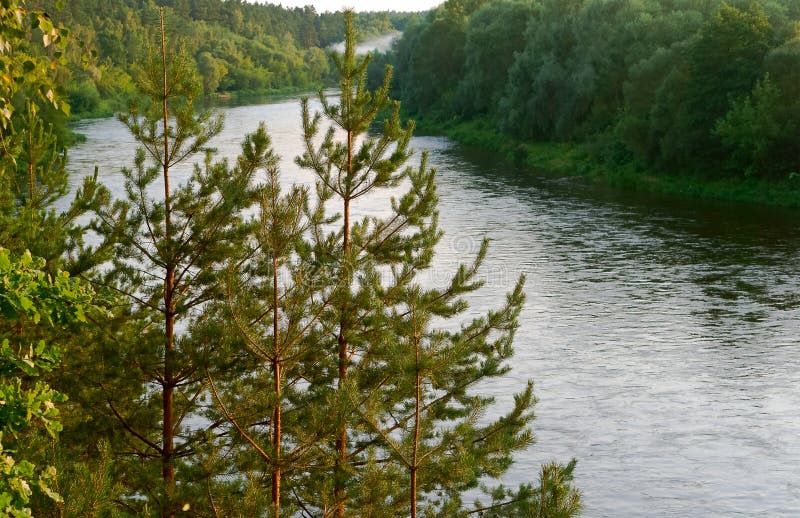 Big River, the River Flows among the Thickets Stock Photo - Image of ...