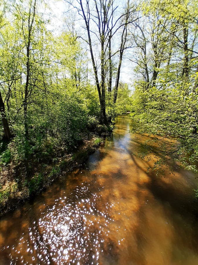 River that Flows among the Trees Stock Image - Image of green, river ...