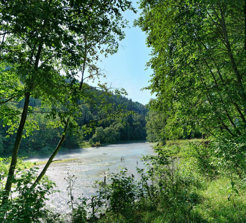River that Flows through the Woodland Area Stock Image - Image of river ...