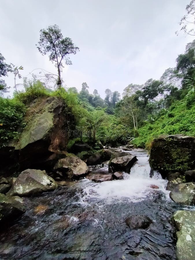 River at the Foot of the Mountain Salak Stock Photo - Image of mountain ...