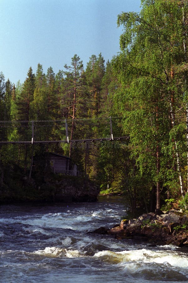 River, Footbridge and Forest Stock Photo - Image of cabin, river: 11484196