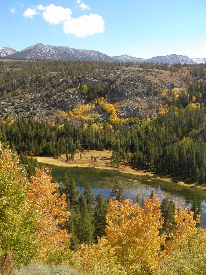 River through forest stock image. Image of looking, aerial - 10811169