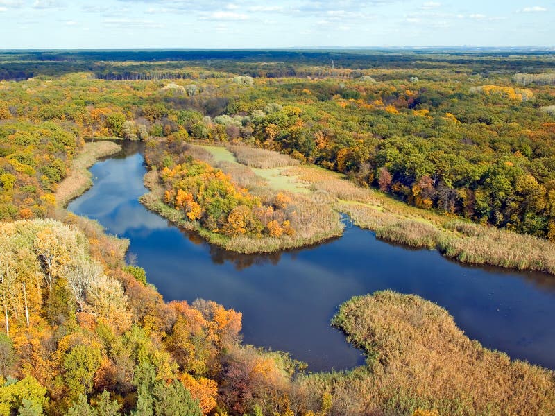 River and forest. stock image. Image of curve, color - 11236355