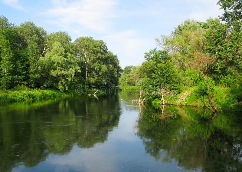 River and forest stock image. Image of water, nature - 15049967