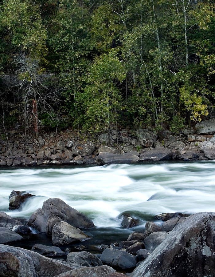 River Through Forest Picture. Image: 1507881