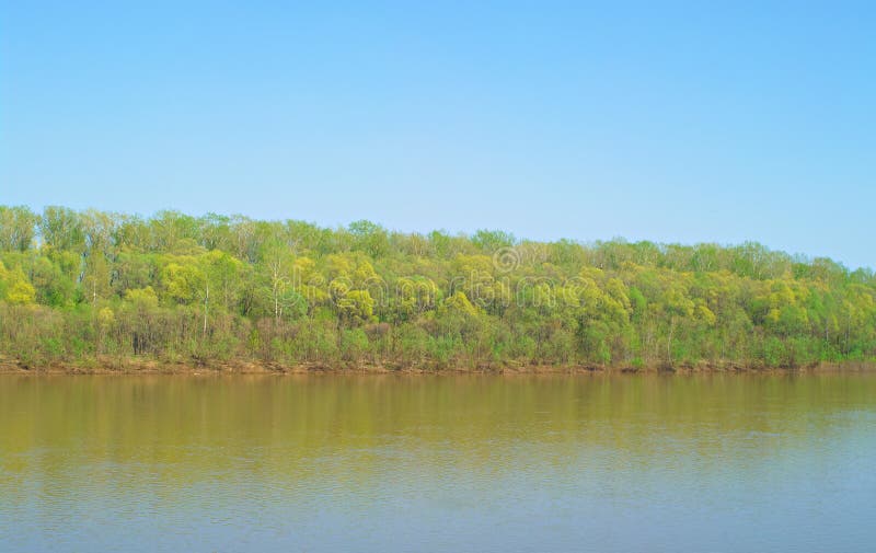 River and forest stock photo. Image of autumn, plant - 16113200