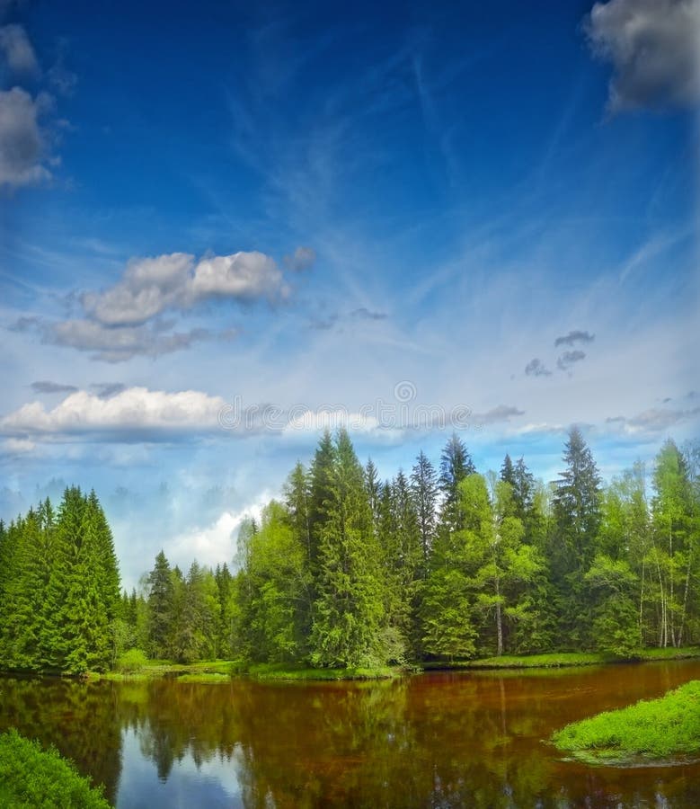 River and forest stock image. Image of flow, mountain - 19116365