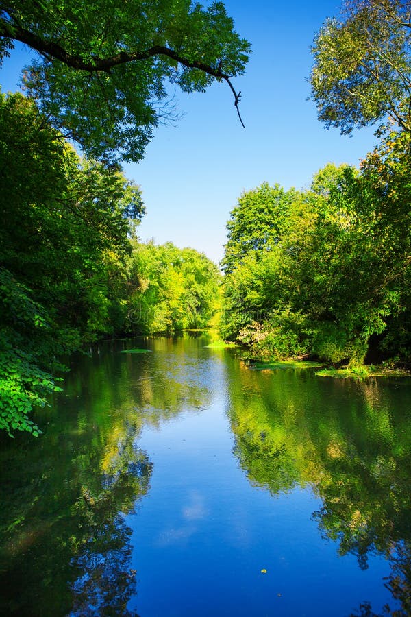 River in forest stock photo. Image of land, plant, lake - 29551714