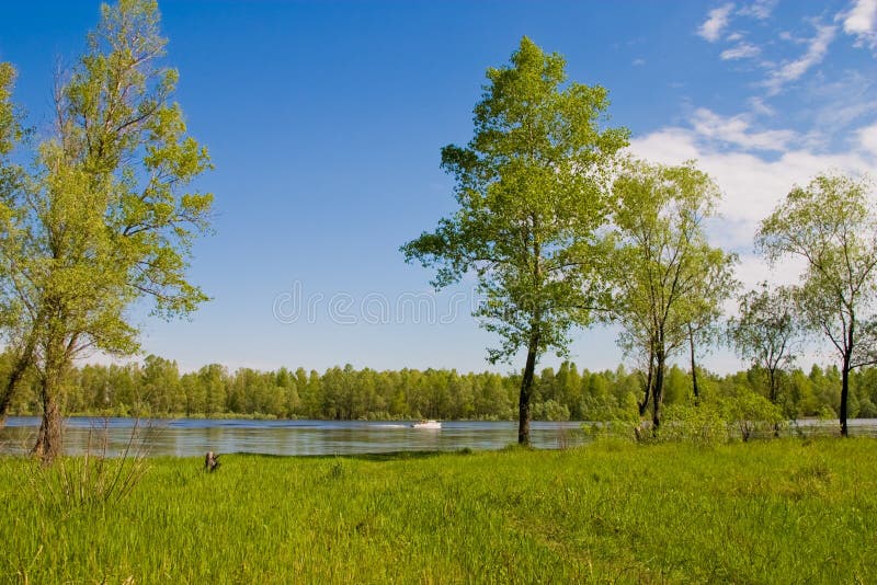 River and forest stock photo. Image of brae, grass, tree - 5046294