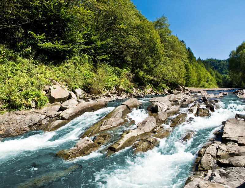 River in forest stock image. Image of stream, river, country - 6293703