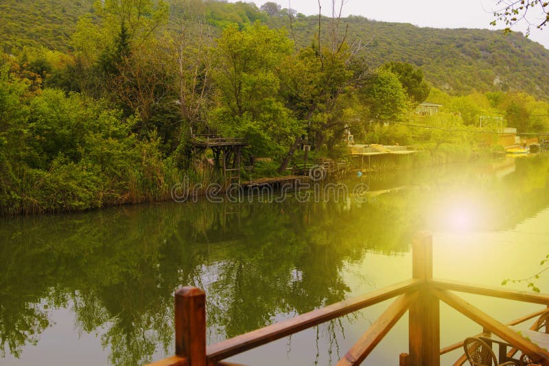 River in the Forest in Agva , Turkey Stock Image - Image of river ...