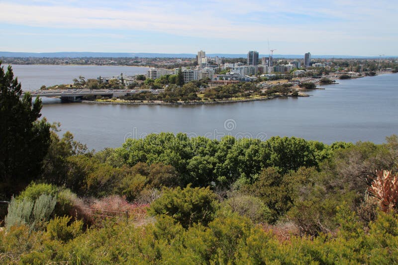 River, Forest and Buildings - Perth - Australia Stock Image - Image of ...