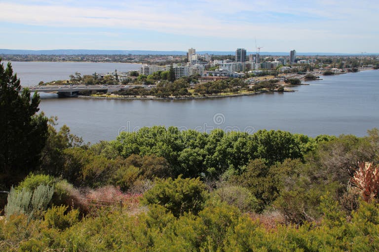 River, Forest and Buildings - Perth - Australia Stock Image - Image of ...
