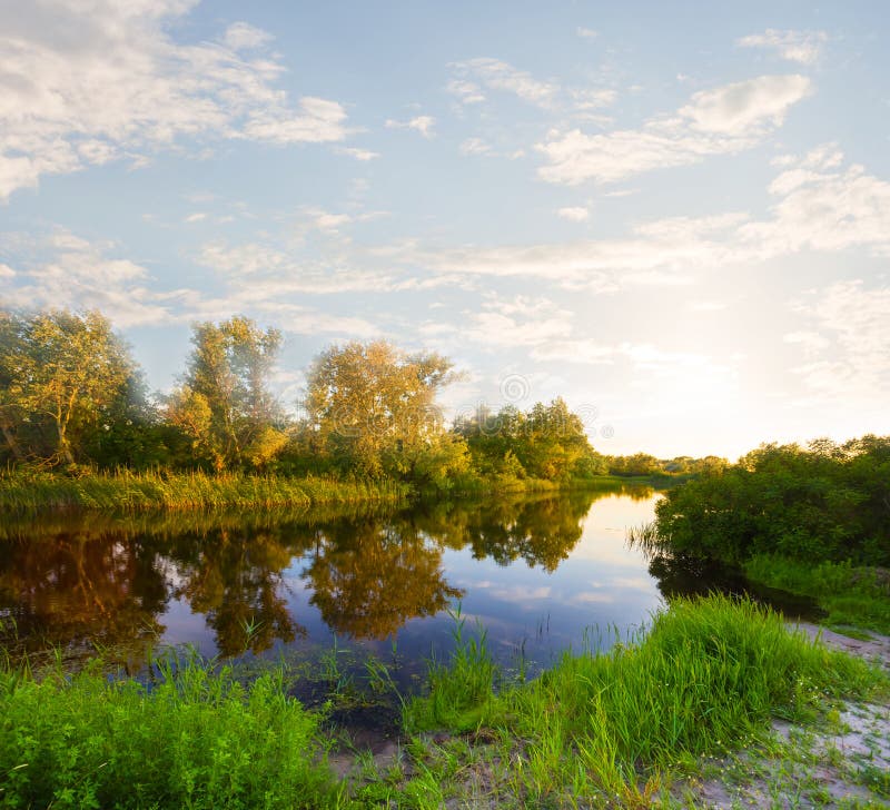 River with Forest on Coast at the Sunset Stock Photo - Image of woods ...