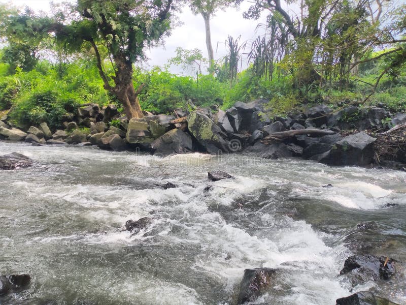 River on Forest Curug Bengkawah Pemalang Central Java Stock Photo ...