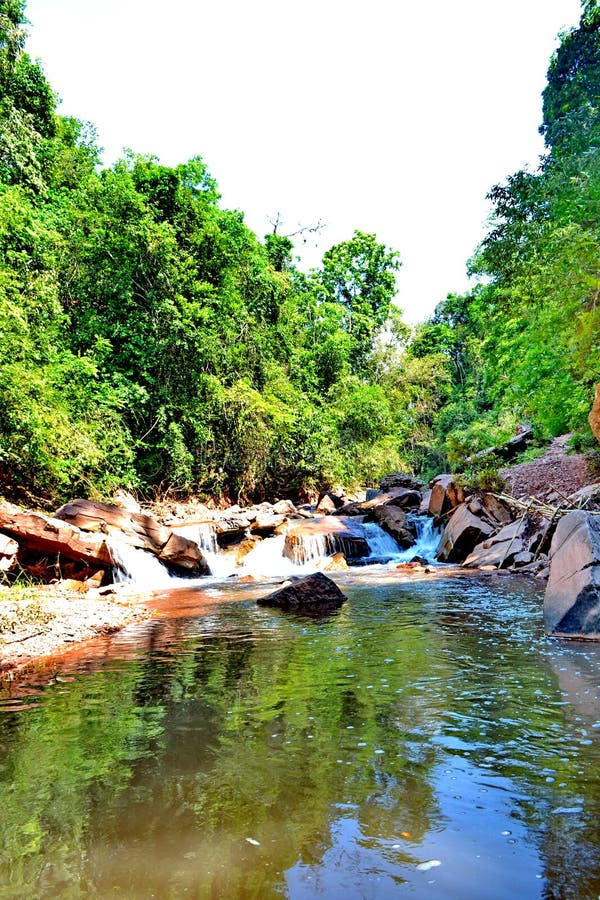 River and forest stock photo. Image of freshness, sunset - 53487752