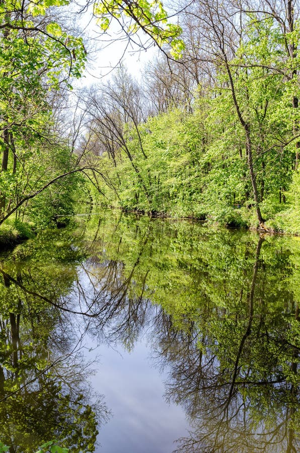 River in the Forest. Early Spring Season Stock Image - Image of ...