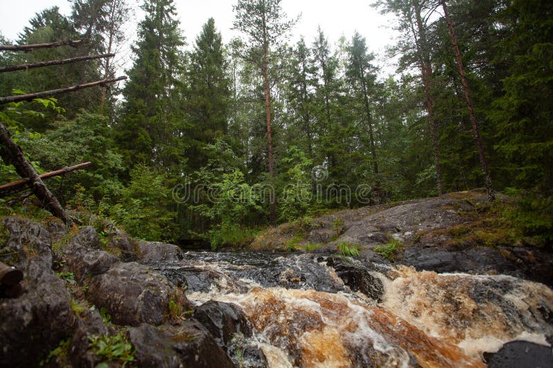 River in Forest, Fast Water Flow Stock Image - Image of environment ...