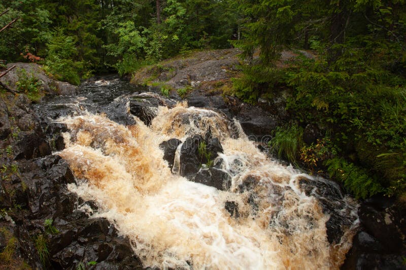 River in Forest, Fast Water Flow, Waterfall Stock Image - Image of ...