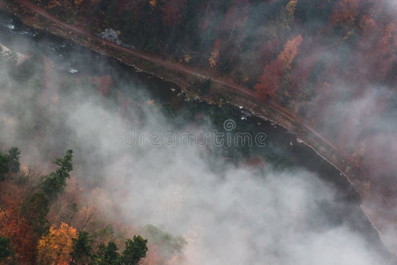 River and Forest in the Fog View from from the Top Stock Image - Image ...