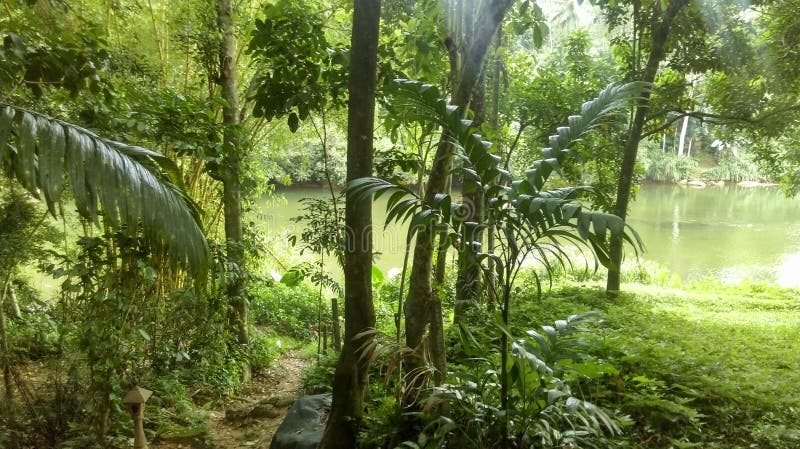 Most Beautiful Bird Wallpapers Stock Photos - Free & Royalty-Free Stock ...