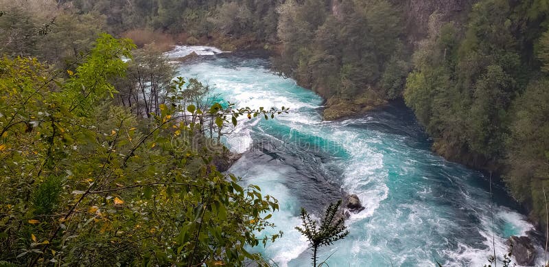 River in the Forest of the Huilo Huilo Reserve Stock Image - Image of ...